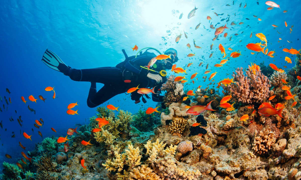 Bluesun Hotel Borak - Bol, island of Brač