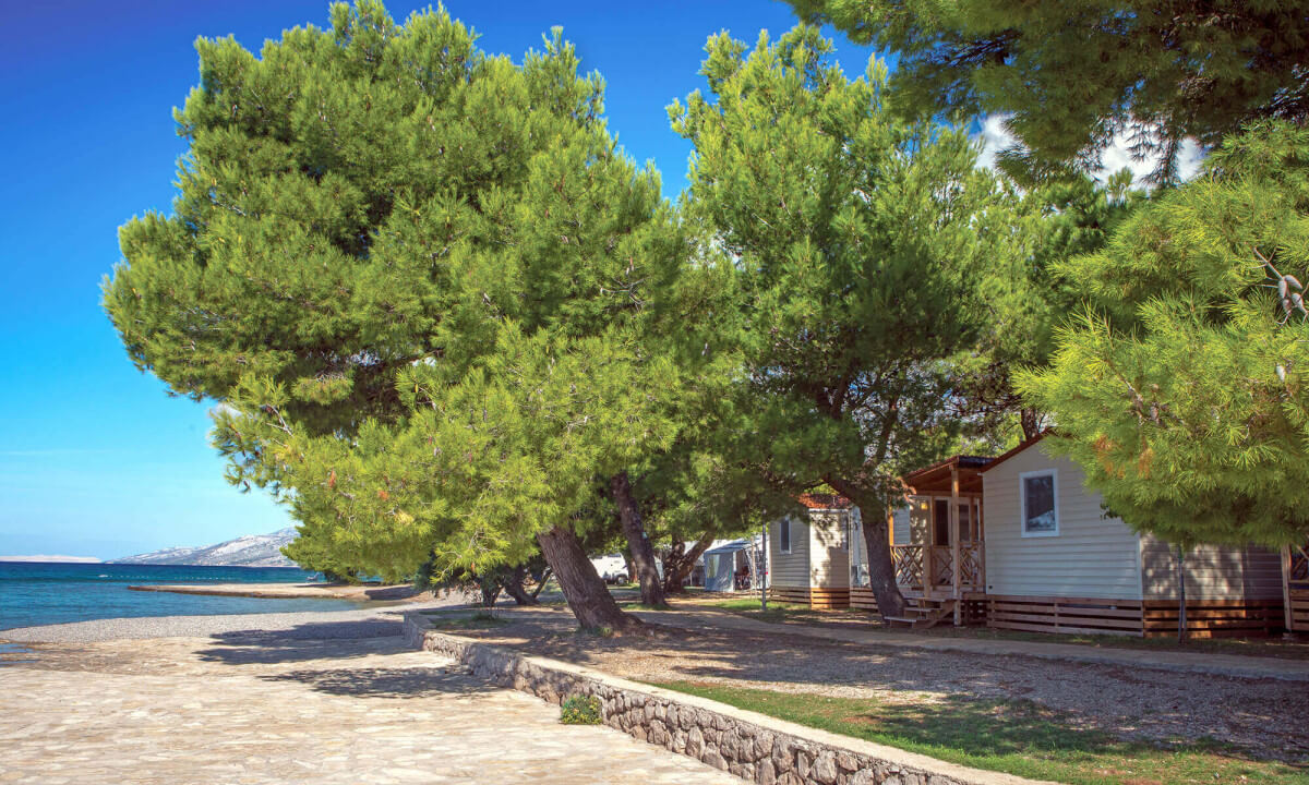 Surround yourself with nature – Camping Paklenica