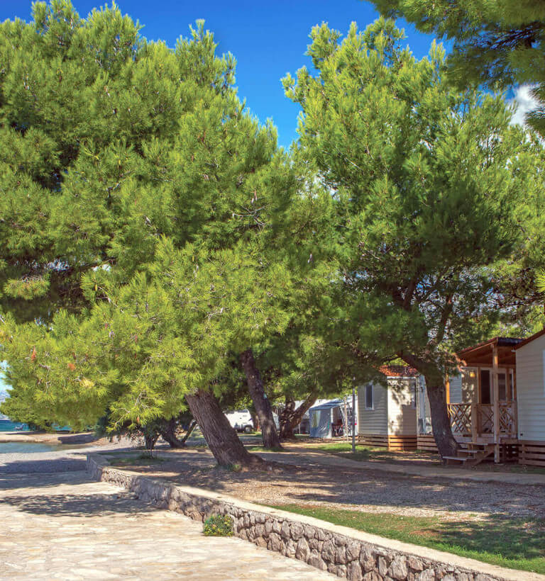 Surround yourself with nature – Camping Paklenica